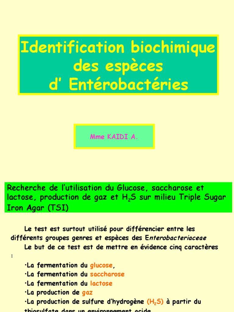 Enterobactérie Final | PDF | Acide aminé | Fermentation
