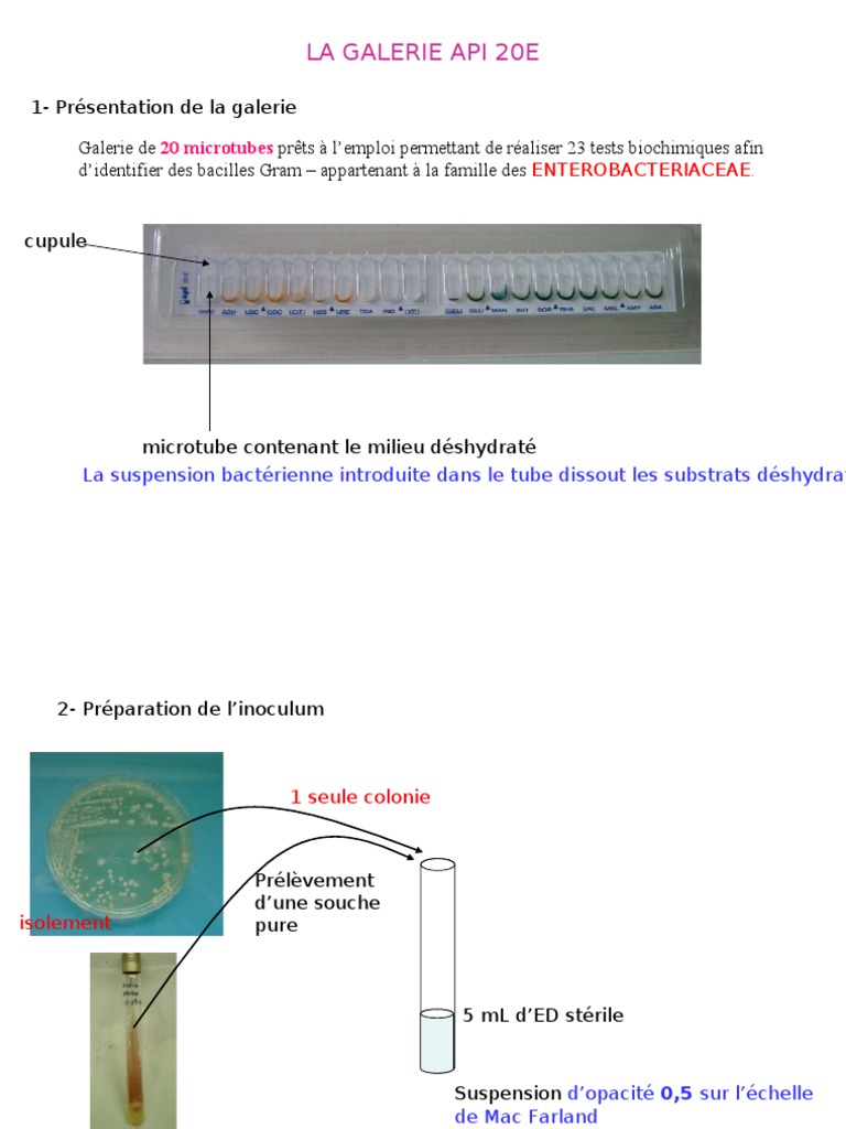 La Galerie Api20e | PDF