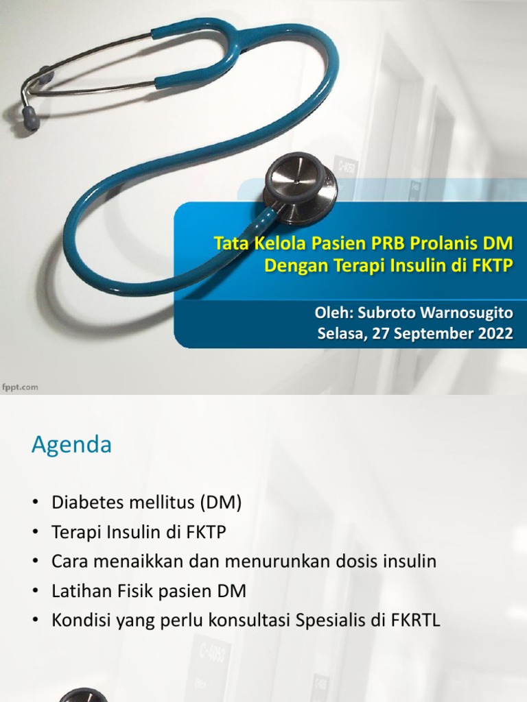 1 Tata Kelola Pasien PRB Prolanis DM Dengan Terapi Insulin Di FKTP | PDF