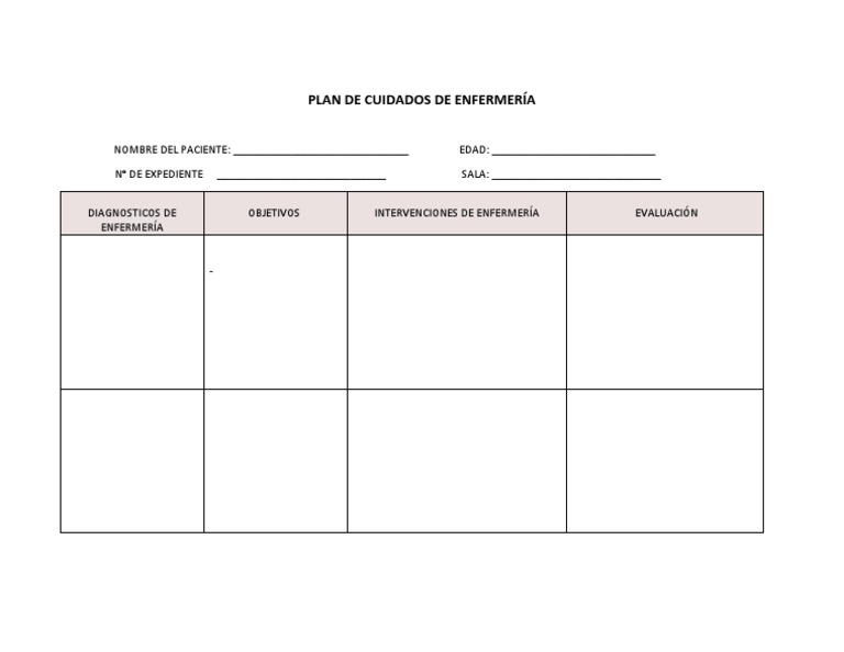 Formato de Plan de Cuidados de Enfermería | PDF
