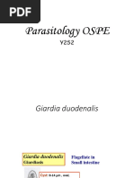 Dade Ci-Trol Coagulation Control Level 1 - Rev 04 DXDCM ...