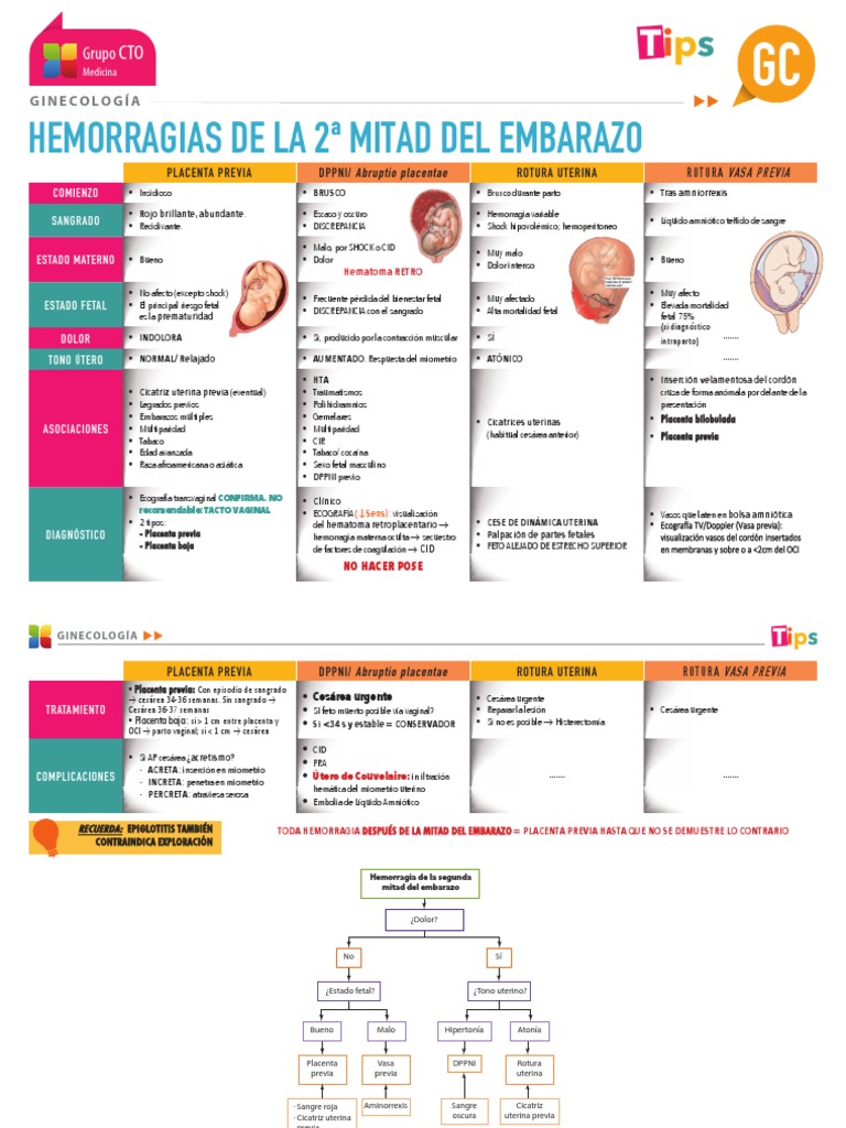 GINE - GC - Hemorragias - 2a Mitad - Embarazo | PDF | El embarazo ...