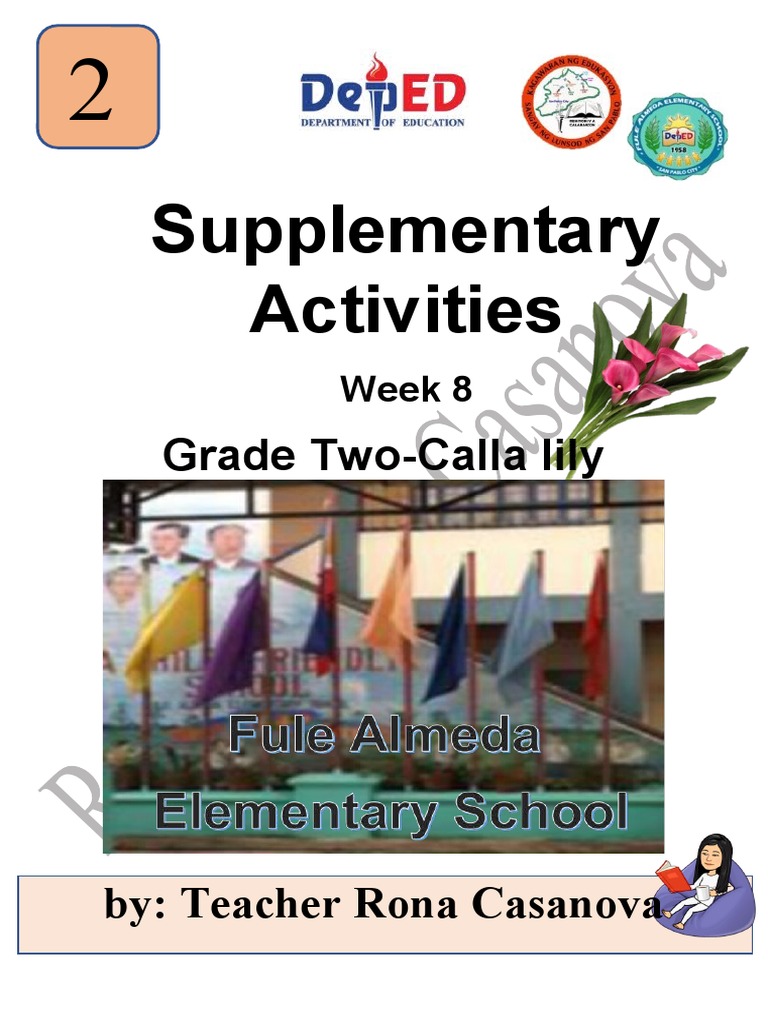 Supplementary Activities-Week 8 | PDF