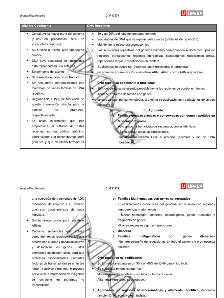 Funciones y Tipos de ADN Repetitivo | PDF | Adn | Genoma