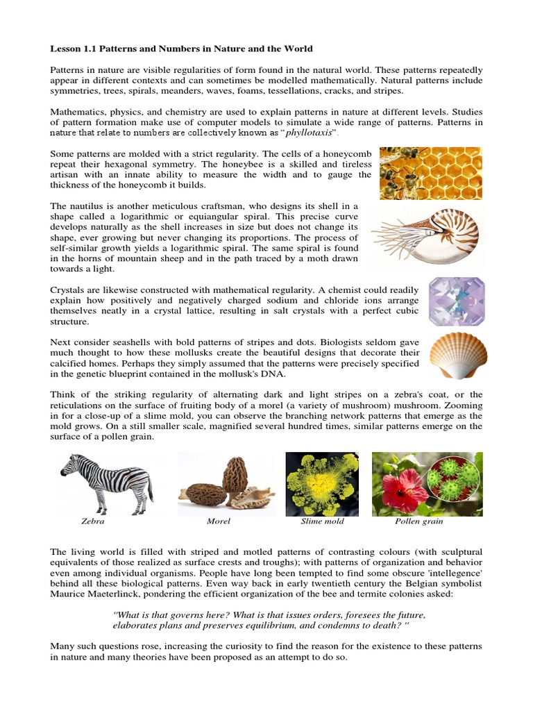 Mathematics in Our World | PDF | Pattern