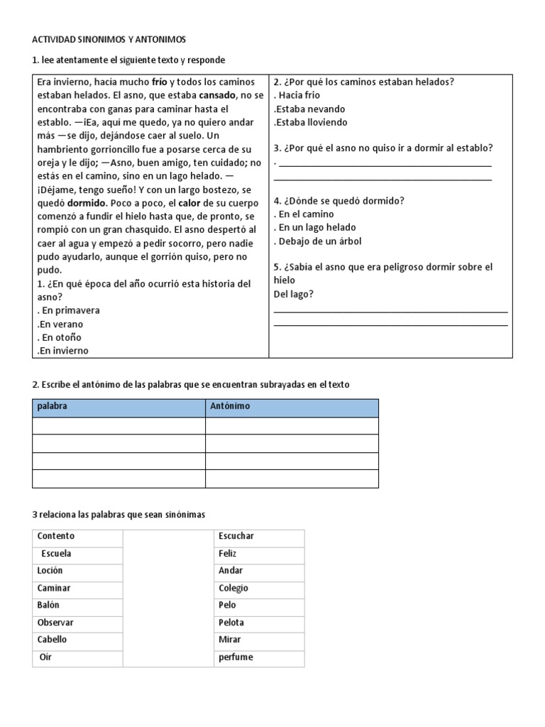 Actividad Sinonimos y Antonimos | PDF