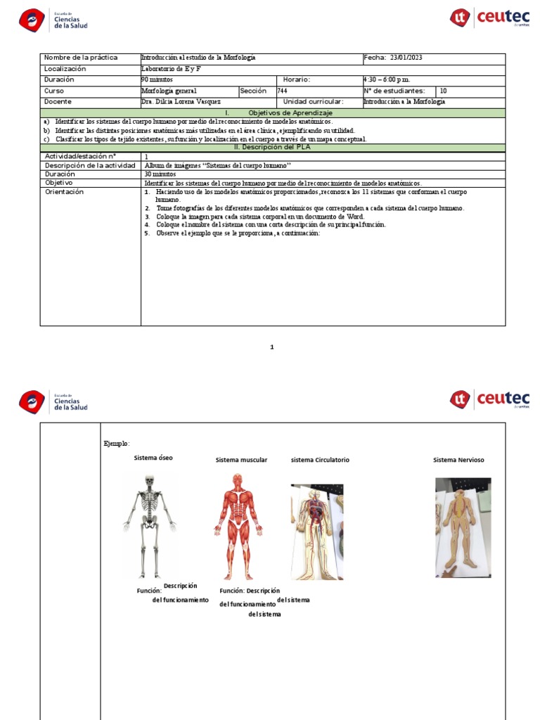 PLA 1-Introduccion Al Estudio de La Morfología | PDF | Anatomía | Cuerpo humano
