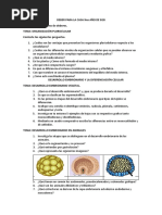 Clase#2 Dotación Cromosomica. | PDF | Cromosoma | Biología Celular)