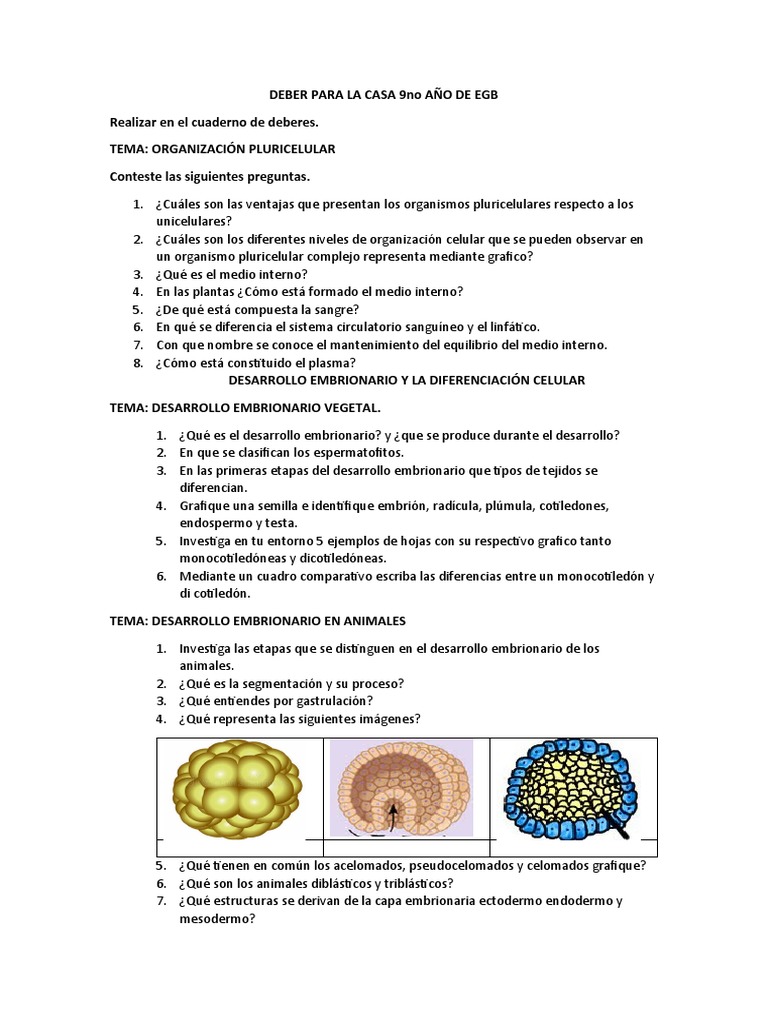 DEBER DE 9no de EGB | PDF