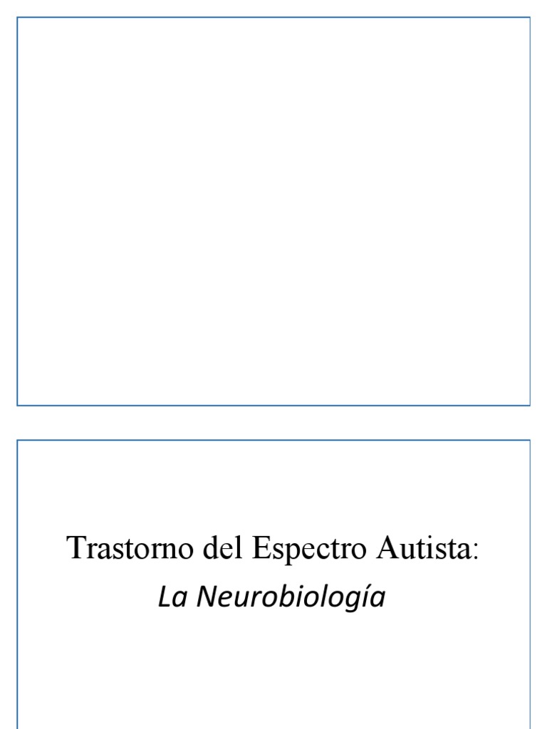 Manual - Áreas Cognitivas Del Cerebro TEA | PDF | Cerebro | Espectro ...