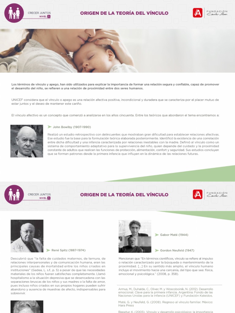 Origen de La Teoría Del Vínculo | PDF