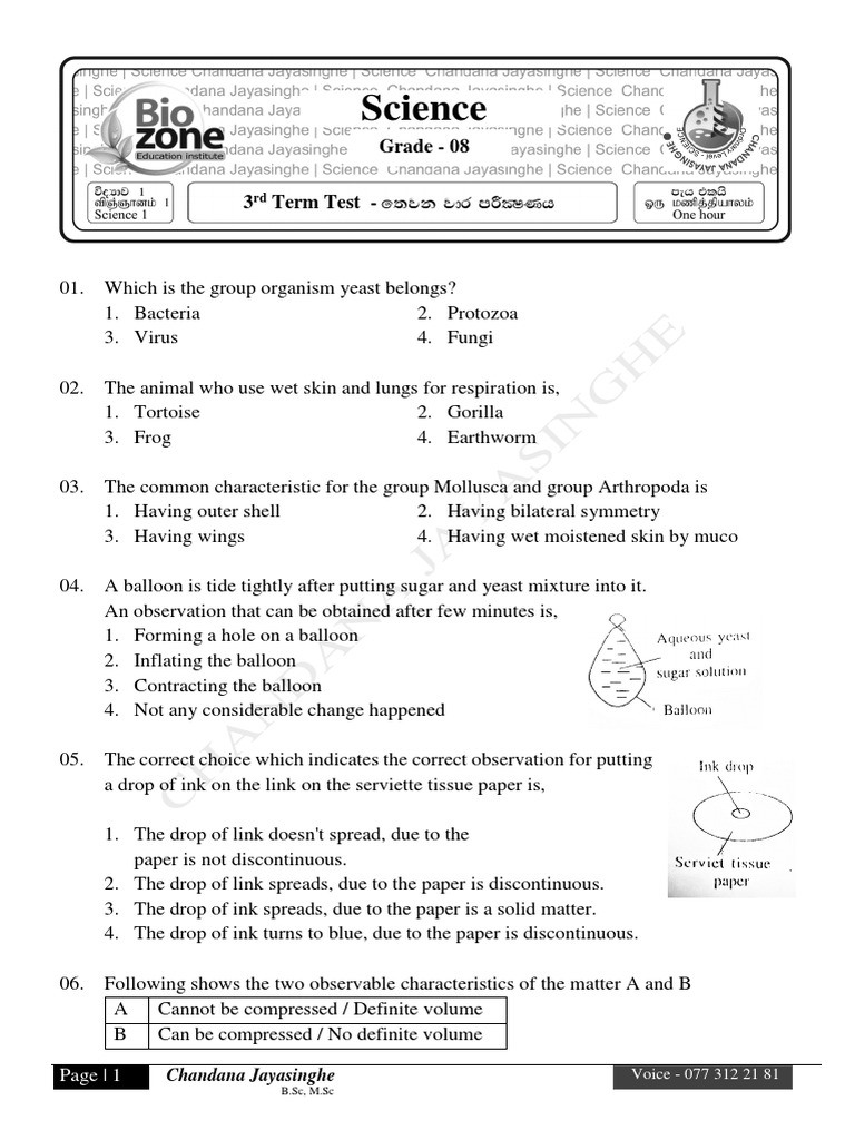 Grade 08 2019 3rd Terms Test Science | PDF | Earth | Stars