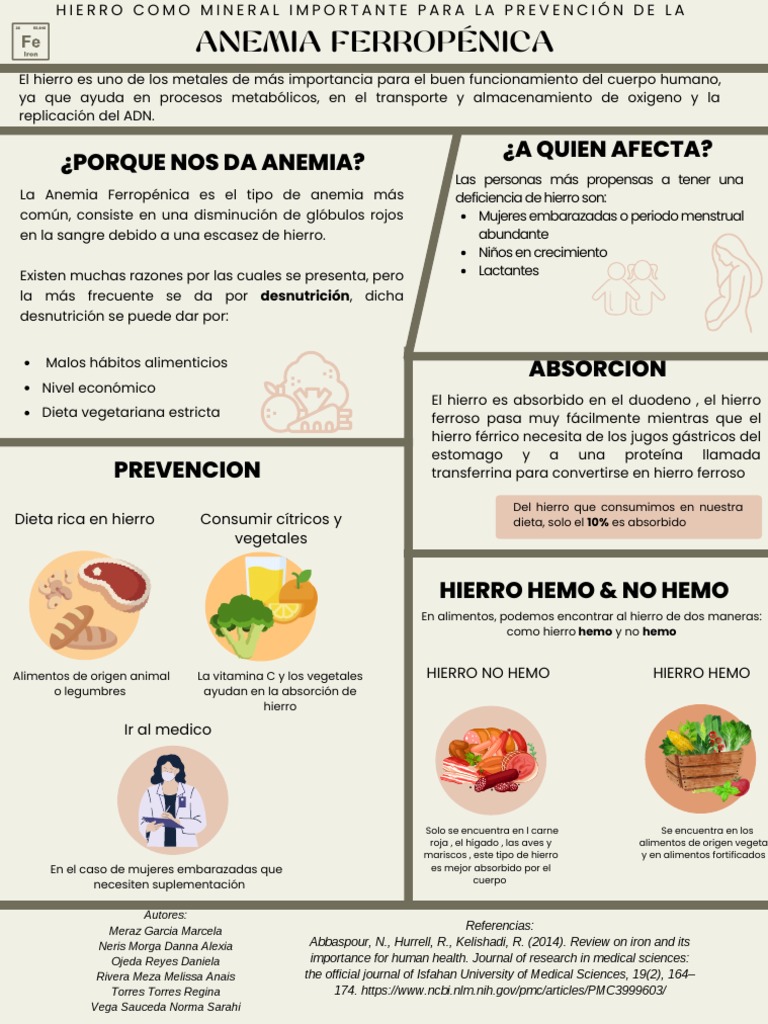 Infografía Anemia Ferropénica (2.381 × 3.175 CM) (900 × 1200 PX) | PDF ...