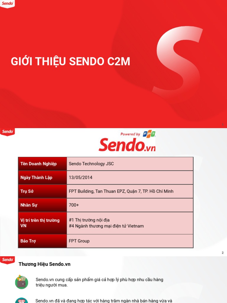 Profile Sendo C2M | PDF