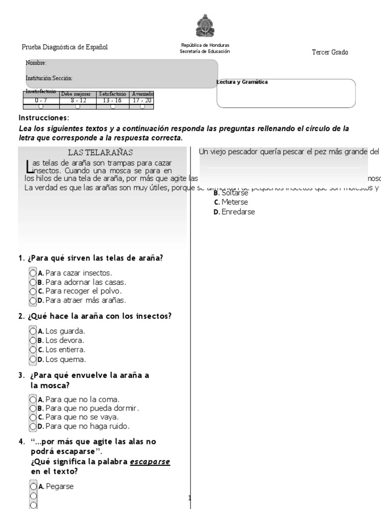 Prueba Diagnóstica 3º Español (2011) | PDF