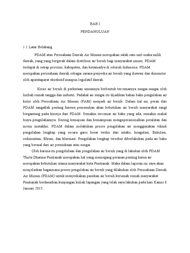 Laporan PDAM Firly | PDF