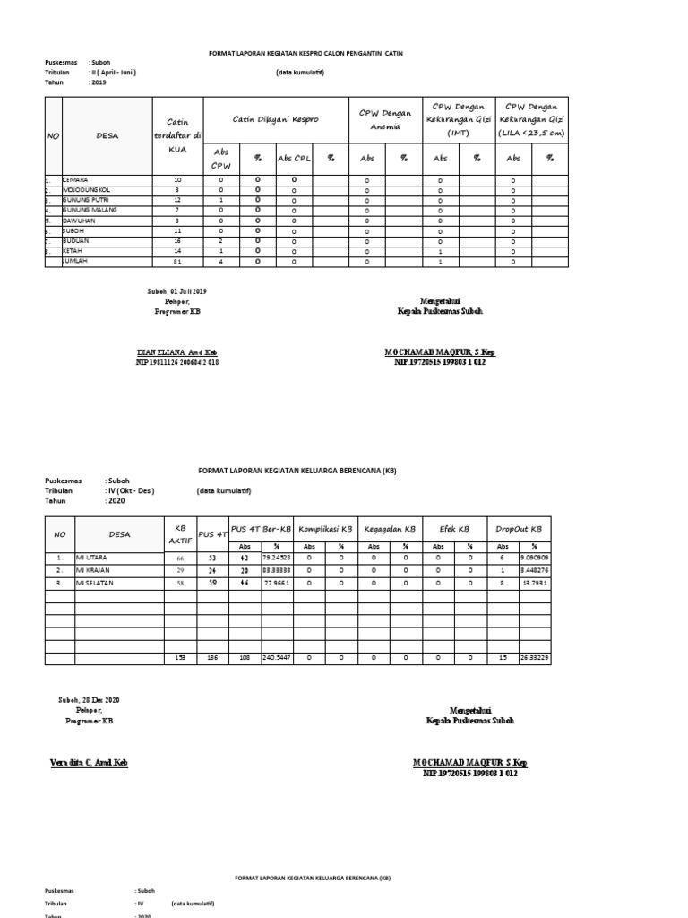 Format Laporan kespro-KB-2019 Tribulan IV | PDF
