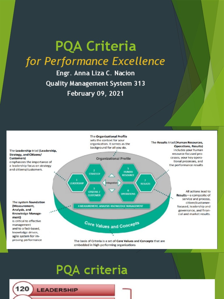 Pqa Government Criteria | PDF | Strategic Management | Governance