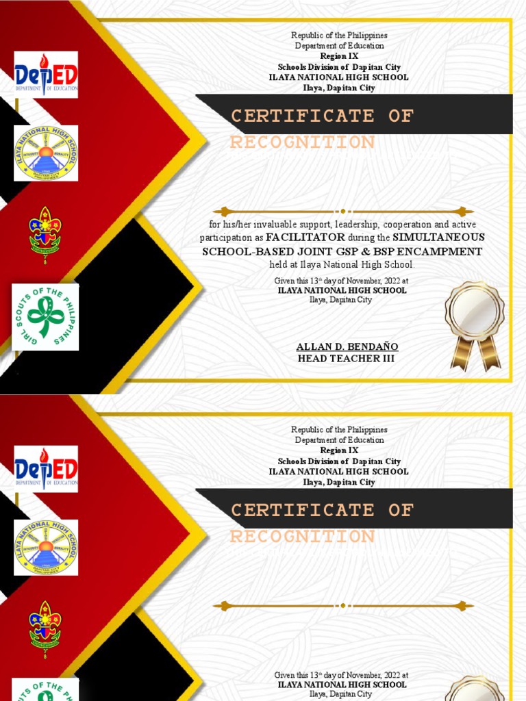 Certificate For School Camp | PDF