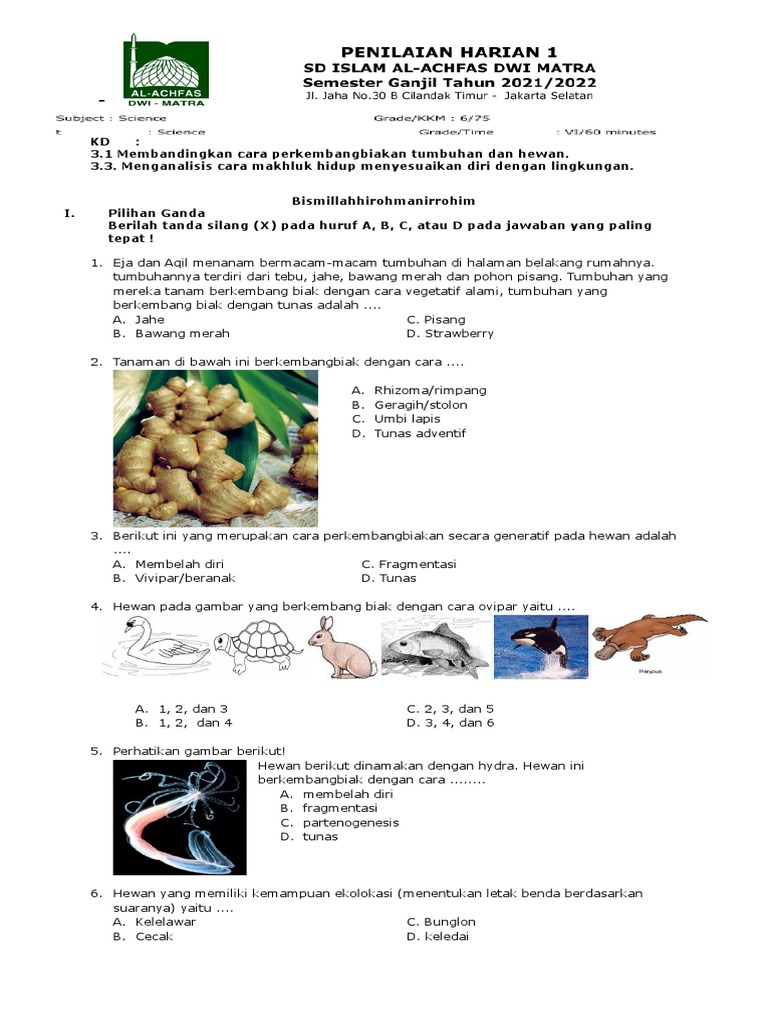 PH1 | PDF