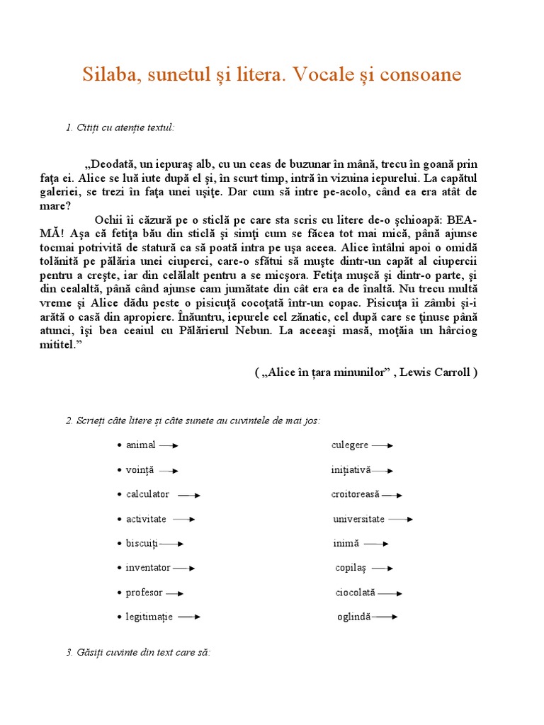 Silaba Sunetul Si Litera. Vocale Si Consoane | PDF
