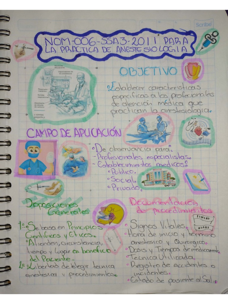 .Infografía. NOM-006. Enfermería | PDF