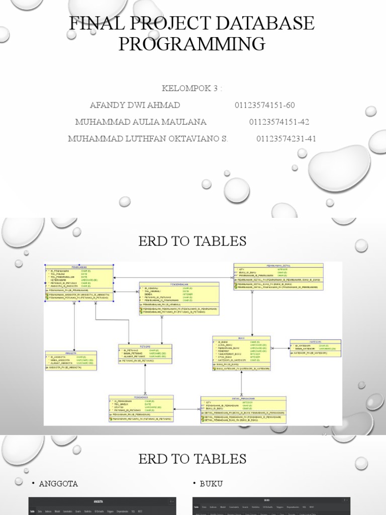 Final Project Database Programming | PDF Final Project Database Programming | PDF