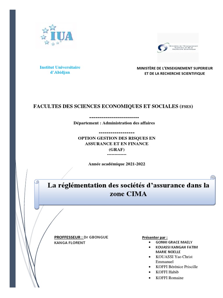 Assurance Vie | PDF | Assurance | Risque