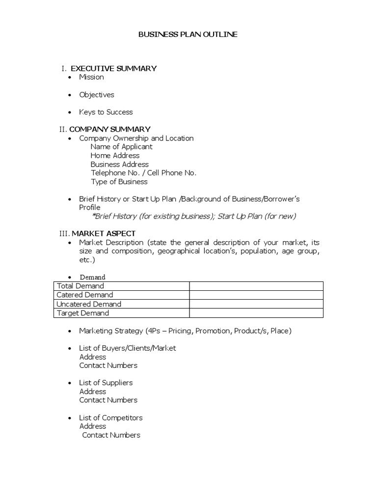 Business Plan Outline - Latest | PDF | Expense | Income