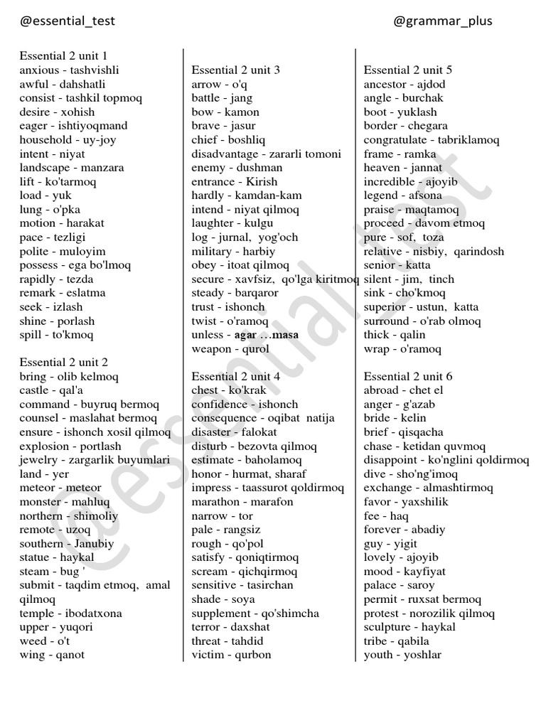 Essential 2 Tarjima | PDF