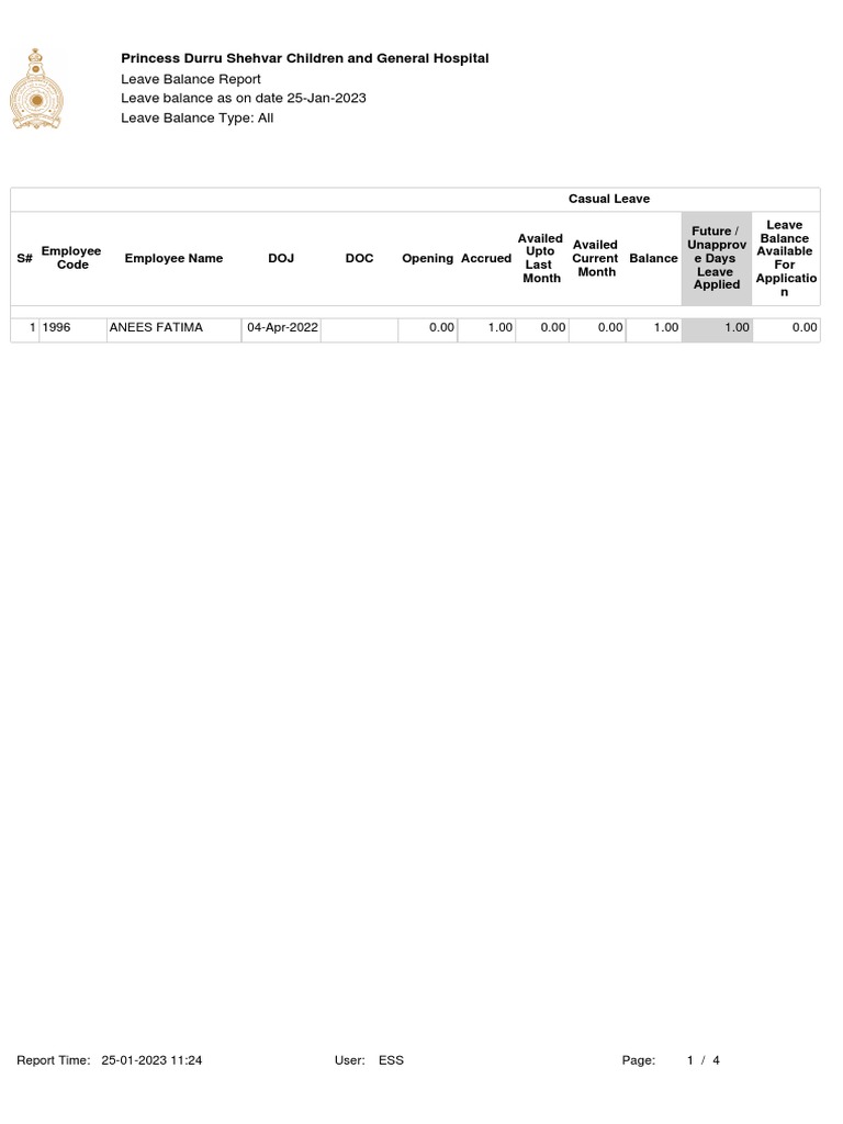 Leave Balance Report | PDF