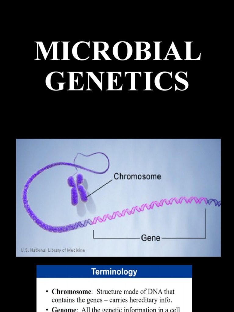 Microbial Genetics | PDF