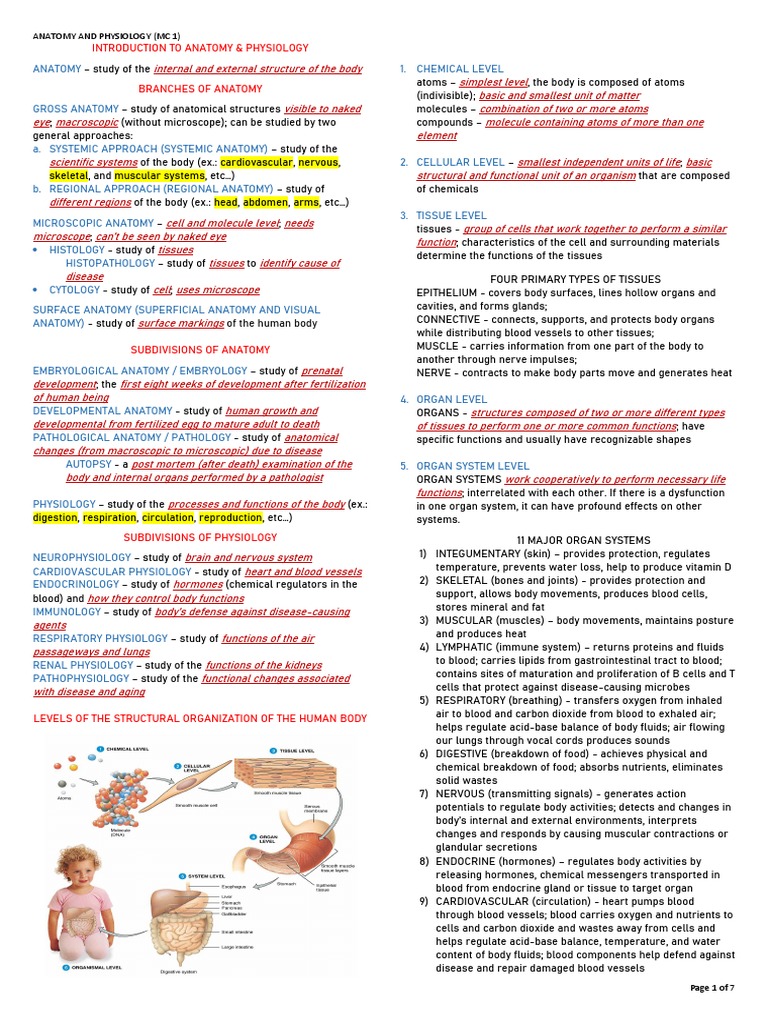 MC1 REVIEWER (Introduction To AnaPhy) | PDF | Human Body | Anatomy