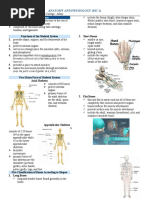 Skeletal System 206 Bones Comprehensive List | PDF | Skull ...