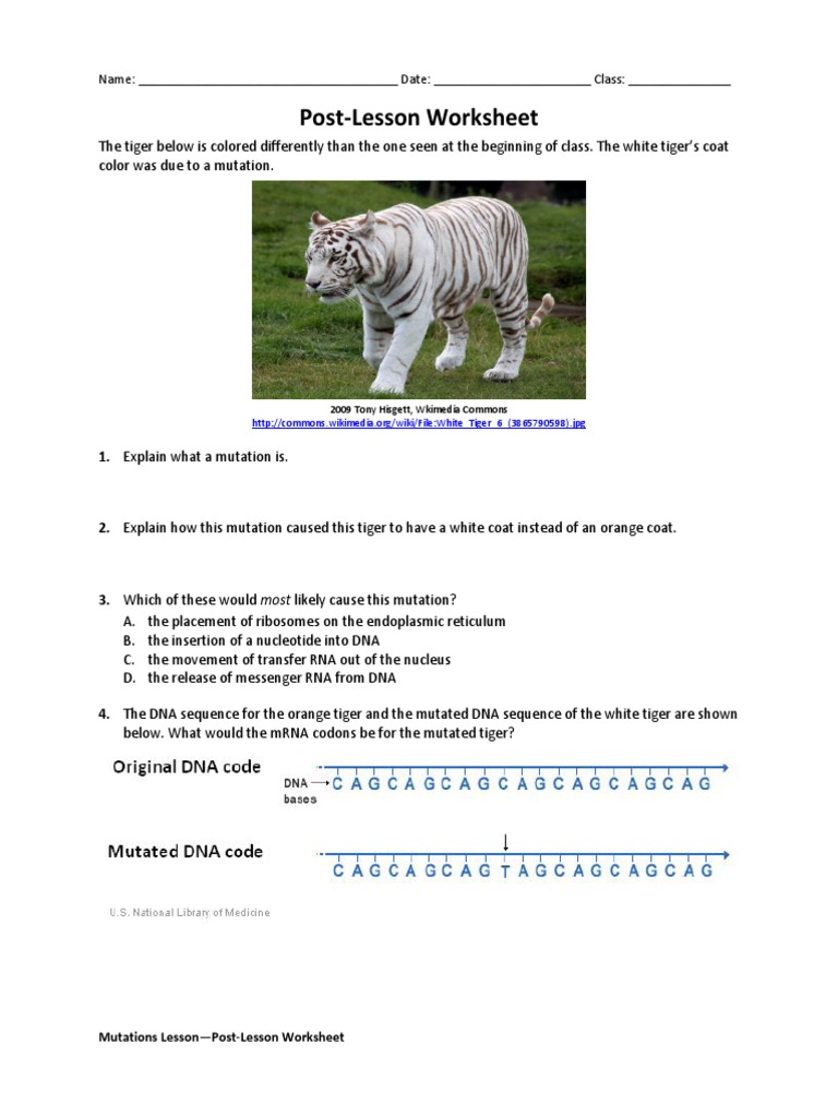 Uoh - Mutations Post-Lesson-Worksheet - v2 - Tedl | PDF