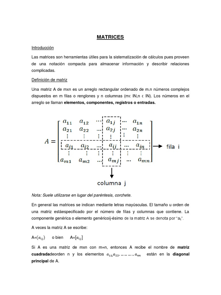 Introducción a Matrices y Operaciones | PDF | Matriz (Matemáticas) | Espacio vectorial