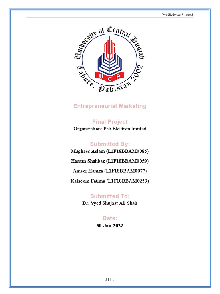 Ent. Marketing Final Project | PDF | Economies | Business