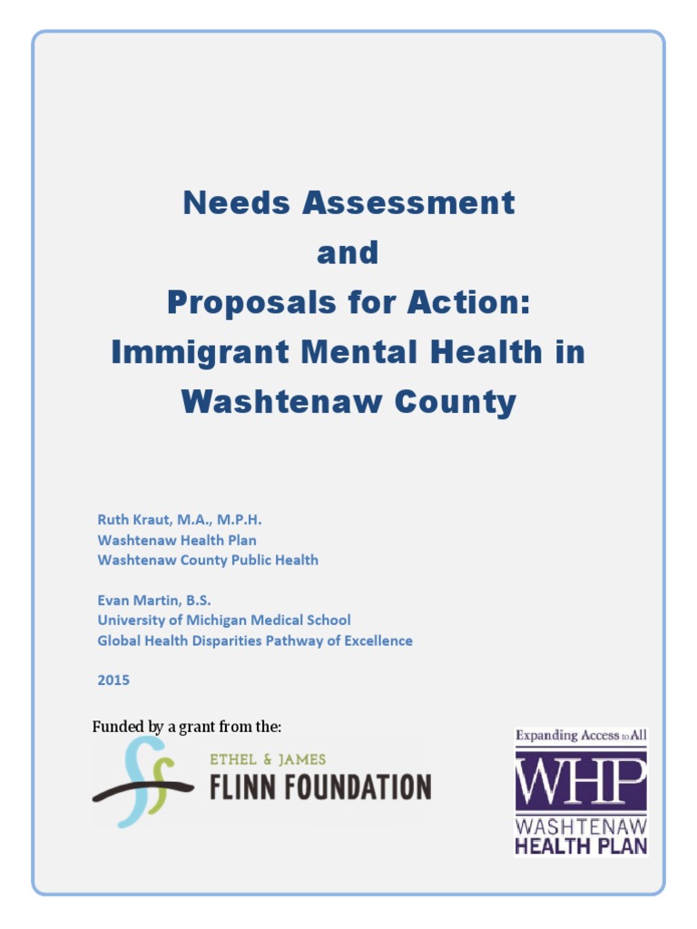 Immigrant Mental Health Needs Assessment Final PDF | PDF | Mental ...
