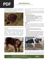 Veterinary Drugs and Their Uses List | PDF | Analgesic | Drugs