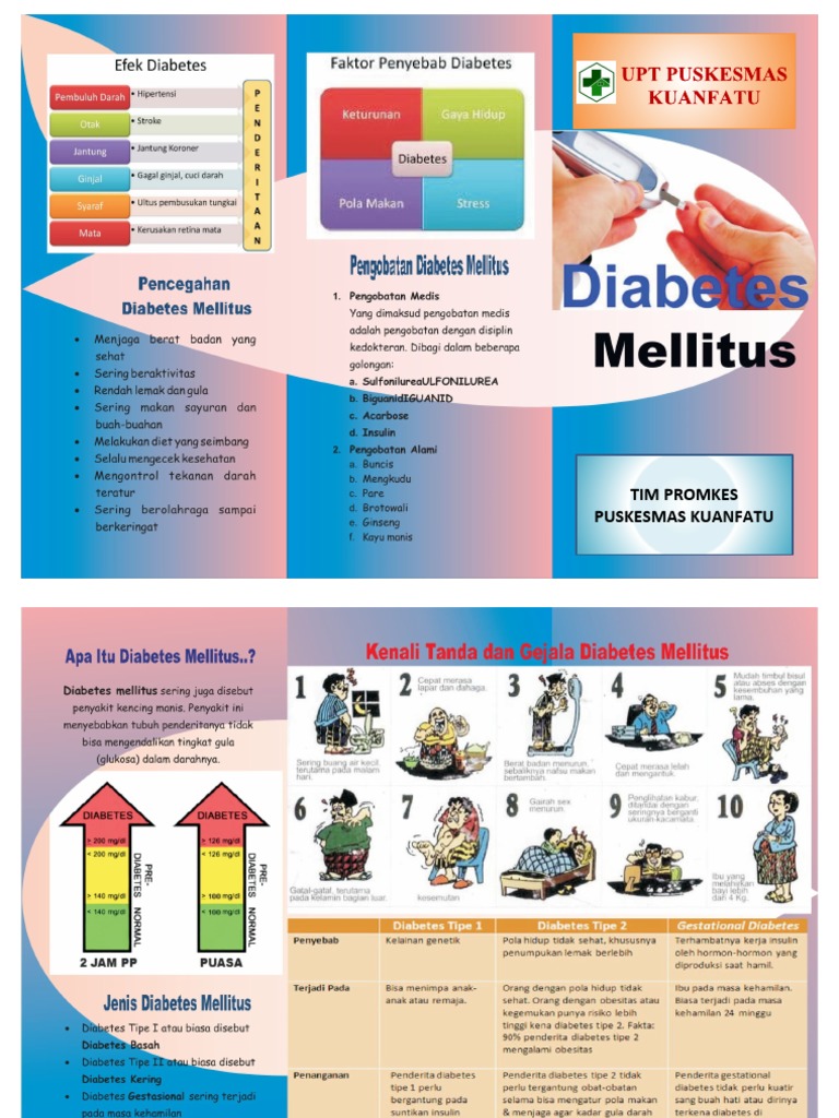 Leaflet - DM | PDF