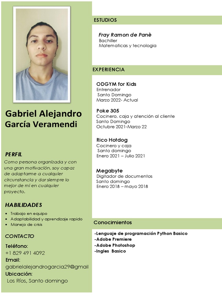 Curriculum Gabriel Garcia | PDF