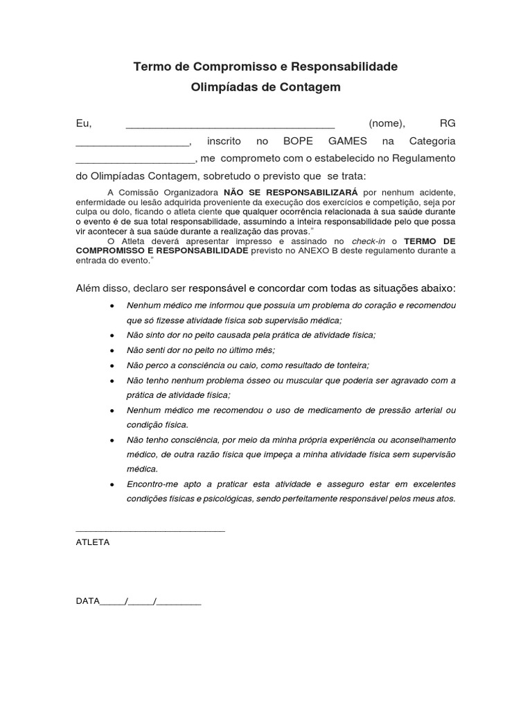 Termo de Compromisso e Responsabilidade 2 | PDF