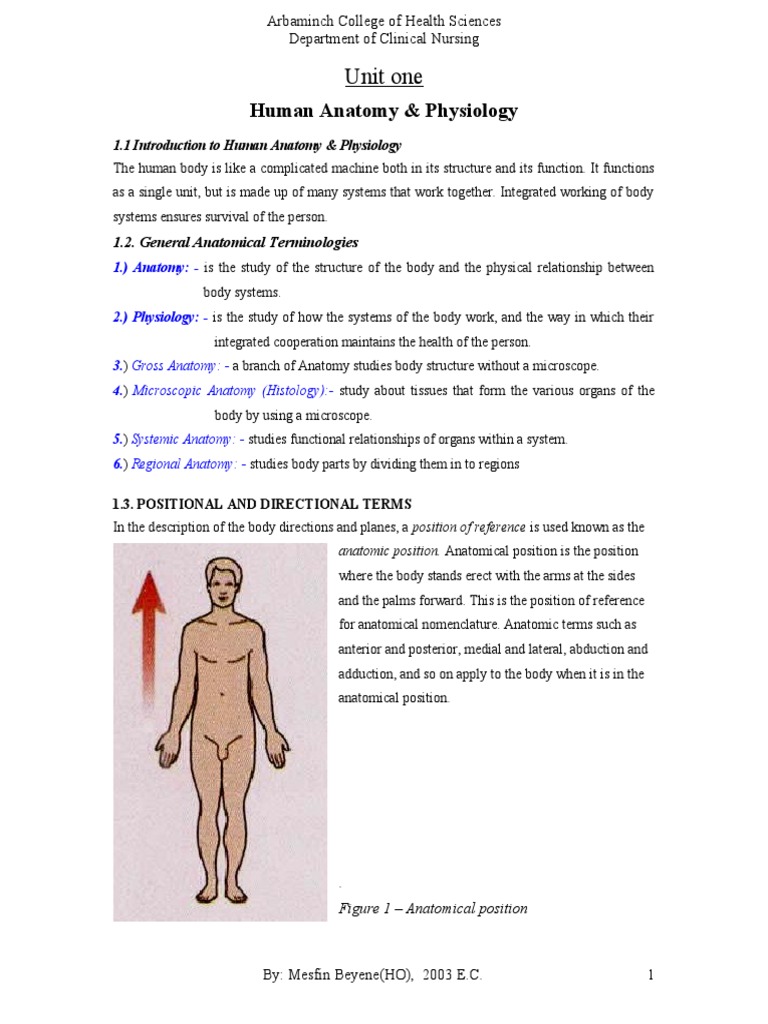 UNIT 1 (Anatomy & Physiology) | PDF | Anatomical Terms Of Location ...