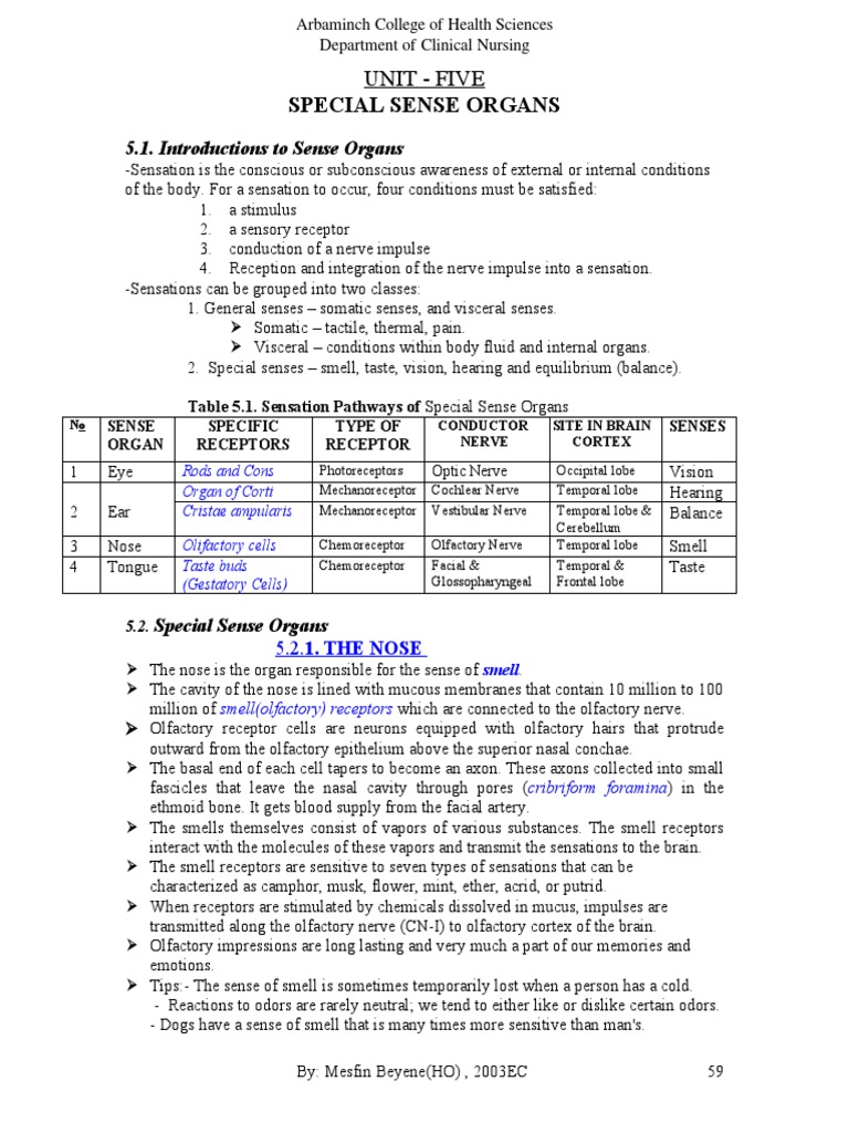 Overview of Special Sense Organs | PDF | Ear | Senses