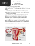 UNIT 1 (Anatomy & Physiology) | PDF | Anatomical Terms Of Location ...