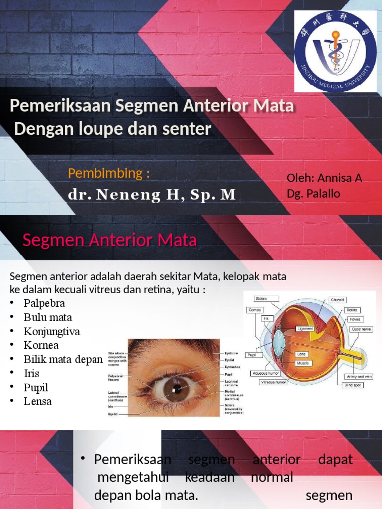 Pemeriksaan Segmen Anterior Lala | PDF