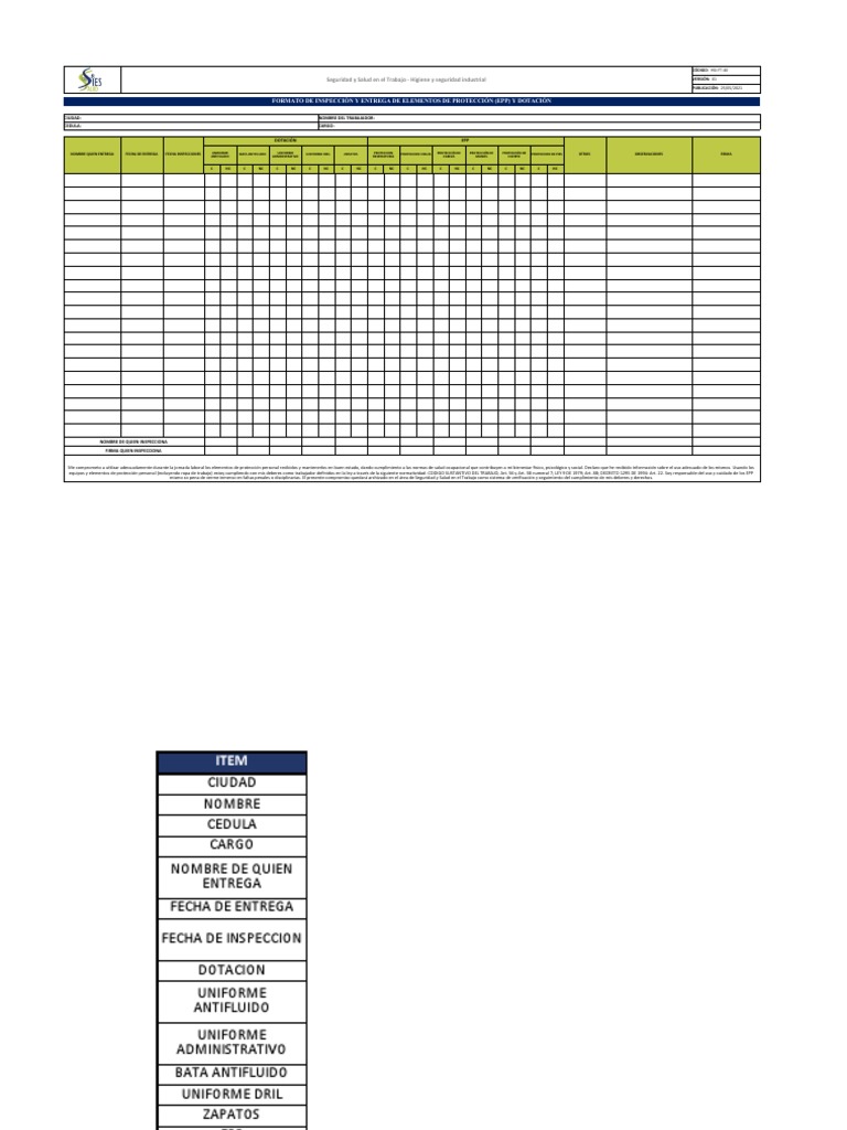 HSI-FT-40 Formato de Inspección y Entrega de Elementos de Proteccion (EPP) y Dotación. | PDF
