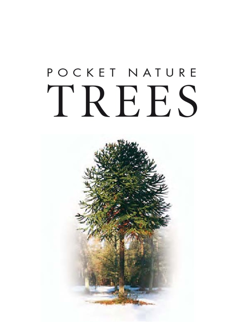 DK Pocket Nature - Trees | PDF | Fir | Pinophyta