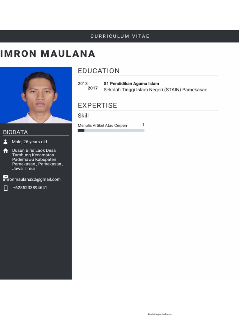 CV Imron Maulana | PDF