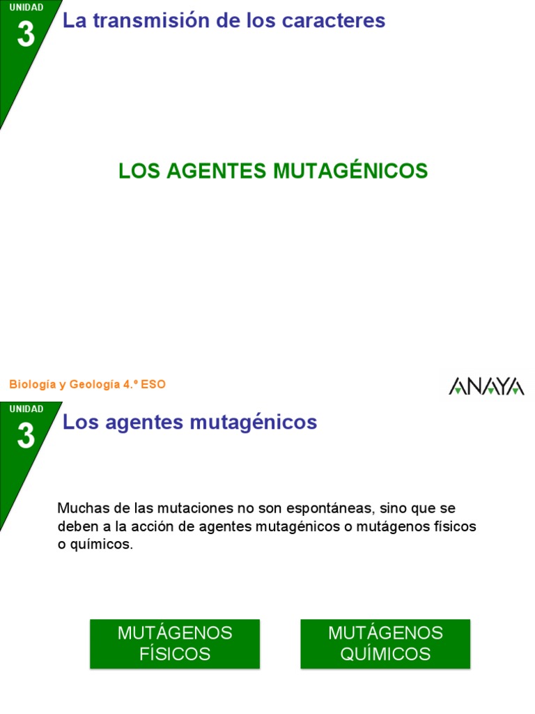 Mutagen I Cos | PDF | Mutageno | Mutación